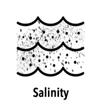 NASA ECCO - Dataset Gallery